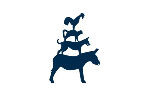 Bremen Dog GIFs - Get the best GIF on GIPHY