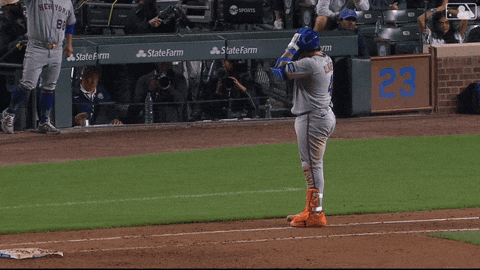 New York Mets GIFs on GIPHY - Be Animated