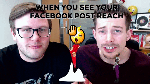 Facebook Posts GIFs - Get the best GIF on GIPHY