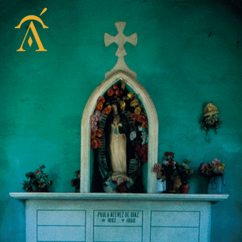 Virgen Santisima GIFs - Get the best GIF on GIPHY