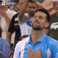 8 Best Novak Djokovic GIFs from the Cincy Open Finals! by Sports GIFs ...