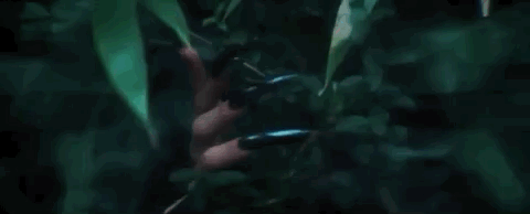 Mink-flow GIFs - Get the best GIF on GIPHY