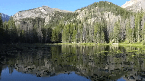 Chapolin-colorado GIFs - Get the best GIF on GIPHY