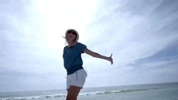 Florida GIFs - Find & Share on GIPHY