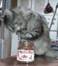 Nutella Bottle GIFs - Get the best GIF on GIPHY