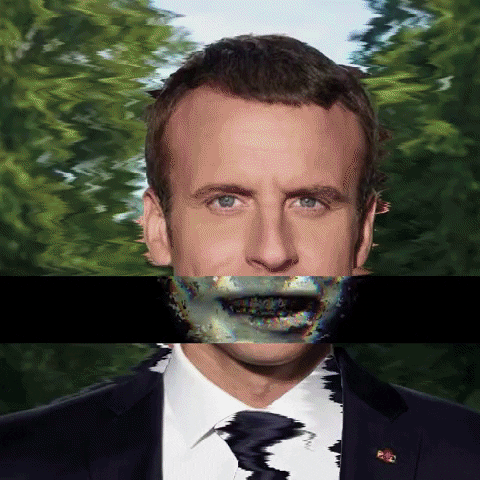 French Politics GIFs - Get the best GIF on GIPHY