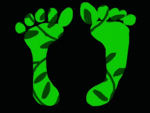 Footprints GIFs - Get the best GIF on GIPHY