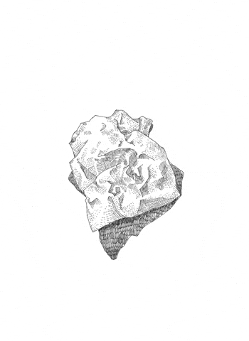 Sketch Paper GIF by osmarval - Find & Share on GIPHY