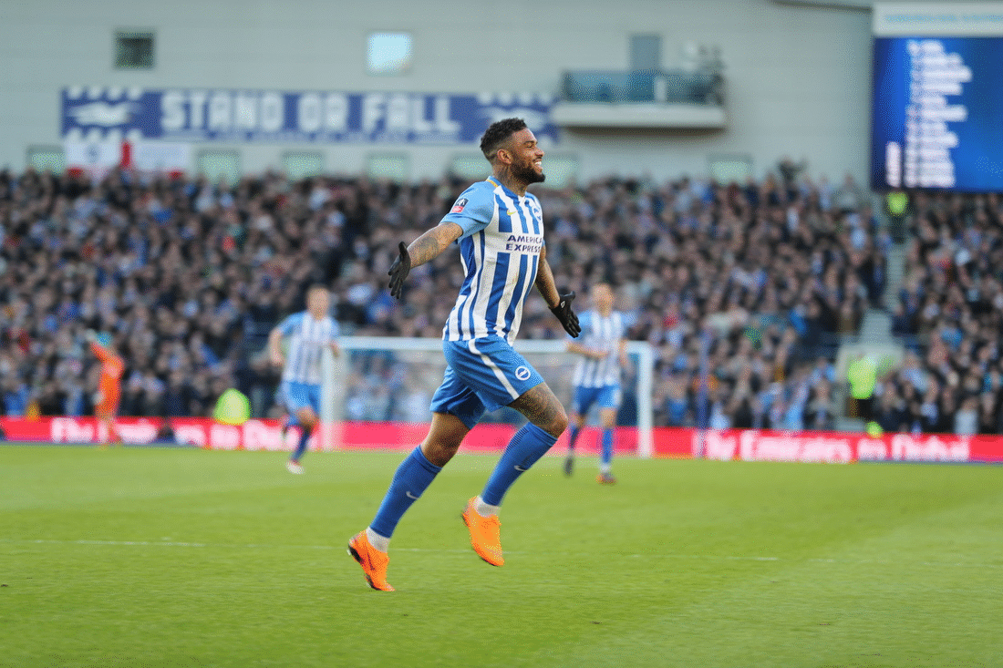 Bhafc GIF by Brighton & Hove Albion Football Club - Find & Share on GIPHY