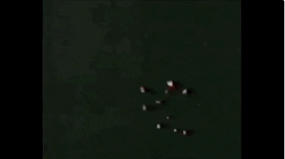 Run Dmc Logo GIFs - Get the best GIF on GIPHY