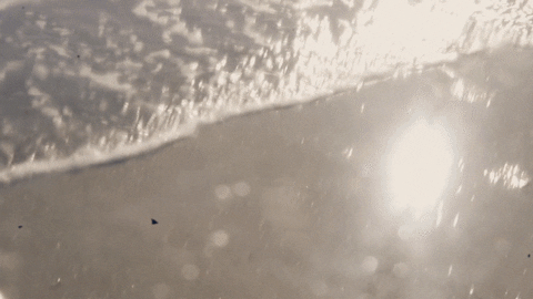 Muddy Waters Ocean GIF by Genevieve Stokes - Find & Share on GIPHY