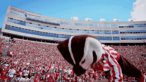 Wisconsin Badgers Football GIF by uwmadison - Find & Share on GIPHY
