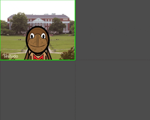 Zoom Umd GIF by umdreslife - Find & Share on GIPHY
