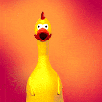 Pollo GIFs - Find & Share on GIPHY
