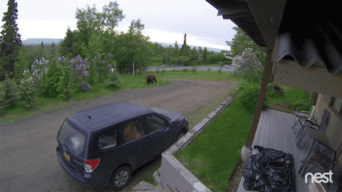 Dont Leave Without Me GIFs - Get the best GIF on GIPHY