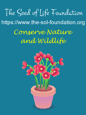 Sol-wildlife-conservation GIFs - Get the best GIF on GIPHY