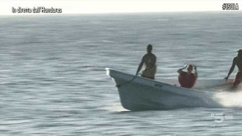 Barca Arriving GIF by Isola dei Famosi - Find & Share on GIPHY