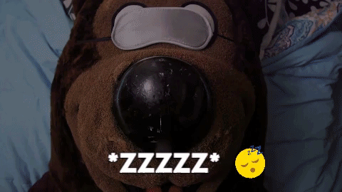 Boomer Bear GIFs - Get the best GIF on GIPHY