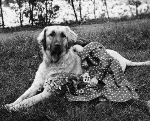 Victorian Era GIFs - Get the best GIF on GIPHY