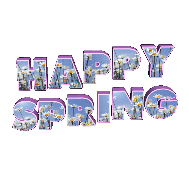 Text Spring Sticker by Justin for iOS & Android | GIPHY