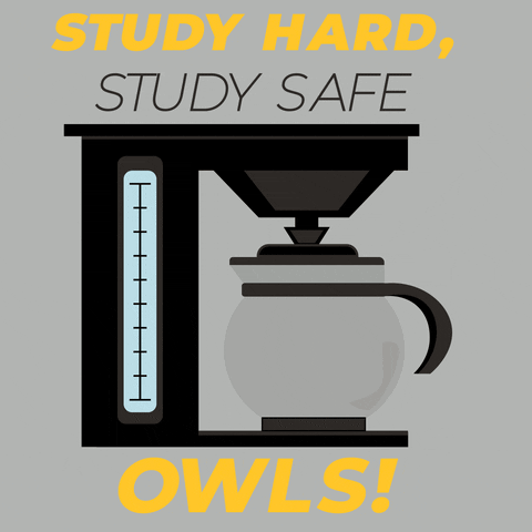 Hard-study GIFs - Get the best GIF on GIPHY