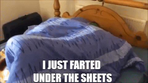 Under-the-sheets GIFs - Get the best GIF on GIPHY
