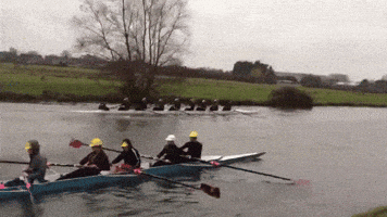 Rowing GIFs - Find & Share on GIPHY