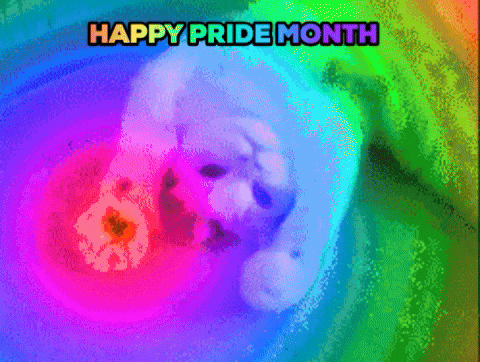Happy Pride by Pride | GIPHY