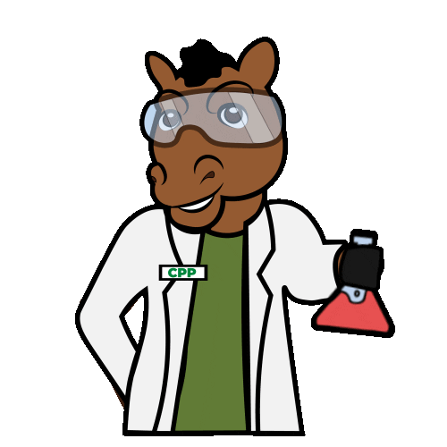 Project CAMINOs GIFs on GIPHY - Be Animated