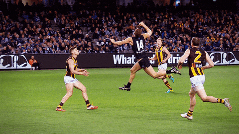 Arriving Carlton Fc GIF by Carlton Football Club - Find & Share on GIPHY