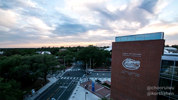 College Football GIF by University of Florida - Find & Share on GIPHY