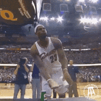 Lebron Crying Gif