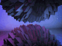 Animated Flower Blooming GIFs - Find & Share on GIPHY