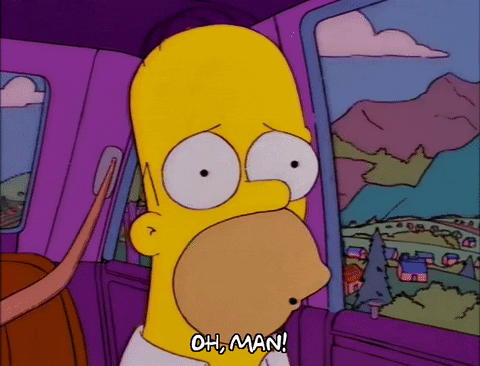 Homer Simpson Episode 24 GIF - Find & Share on GIPHY