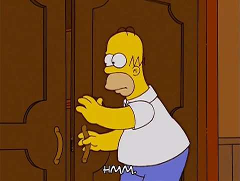 Confused Homer Simpson GIF - Find & Share on GIPHY