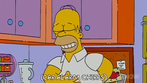 Homer Simpson Episode 13 GIF - Find & Share on GIPHY