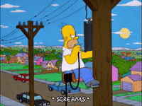 What Car Is Ideal For This Specific Use Case? | Page 6 | VW Vortex ...