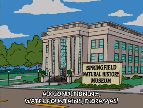 Springfield Museum GIFs - Get the best GIF on GIPHY