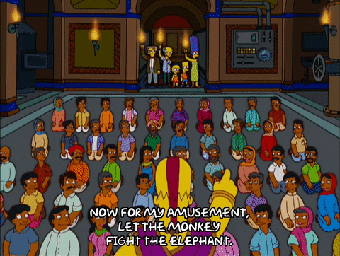 Monkeys-fighting GIFs - Get the best GIF on GIPHY