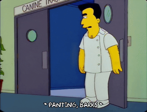 World Veterinary Day GIFs - Get the best GIF on GIPHY