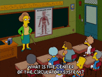 Circulatory System Gif
