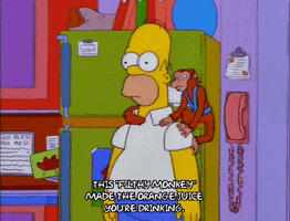 Mojo GIFs - Find & Share on GIPHY