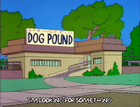 Dog Pound GIFs - Get the best GIF on GIPHY