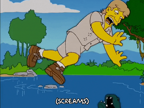 Alligator Bites Man GIFs - Get the best GIF on GIPHY