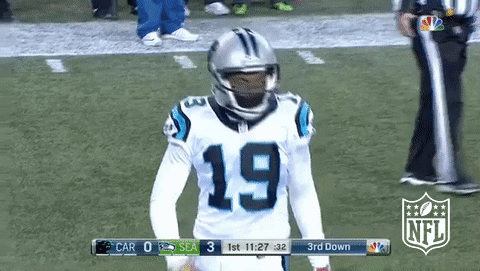 Carolina Panthers Football GIF by NFL - Find & Share on GIPHY