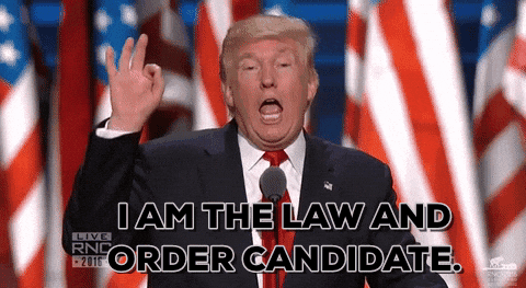 I Am The Law And Order Candidate GIFs - Get the best GIF on GIPHY