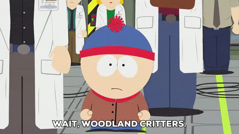 Talking Bear GIFs - Get the best GIF on GIPHY