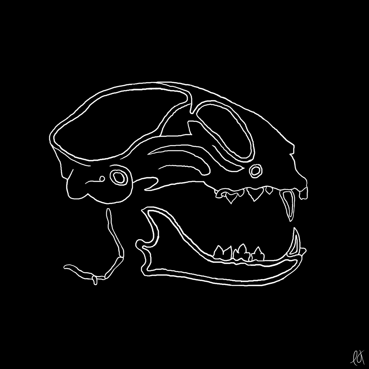 Cat Skull GIF by littlekingdoms - Find & Share on GIPHY
