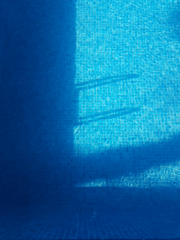 Swimmingpool GIFs - Get the best GIF on GIPHY