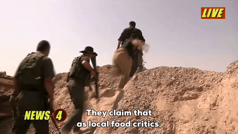 Run Guns GIF by South Park - Find & Share on GIPHY